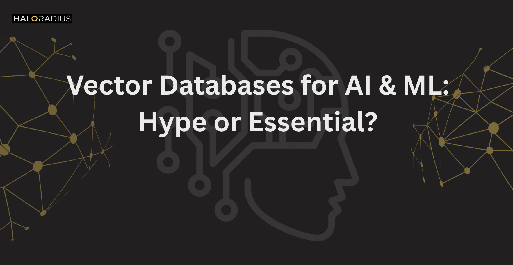 Do You Really Need a Vector Database for AI and ML? - Halo Radius